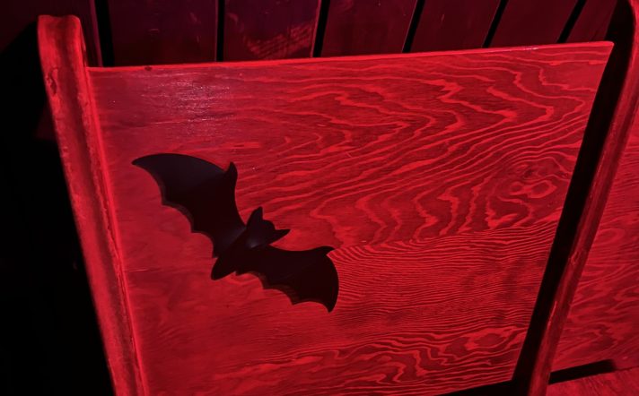 Become a Bat to Locate the Bat Seek and Find - Western Development Museum