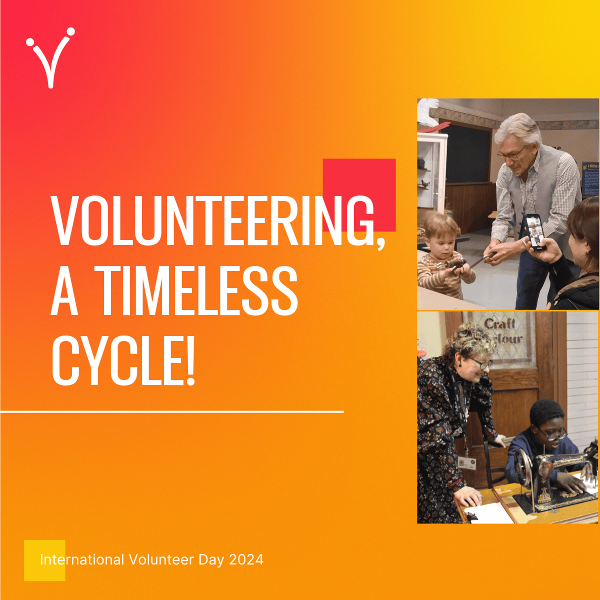 Celebrating International Volunteer Day 2024: A Tribute to WDM ...